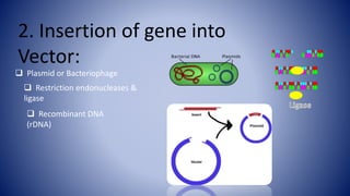 Basic Concept of Genetic Engineering | PPTX