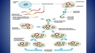 Basic Concept of Genetic Engineering | PPTX