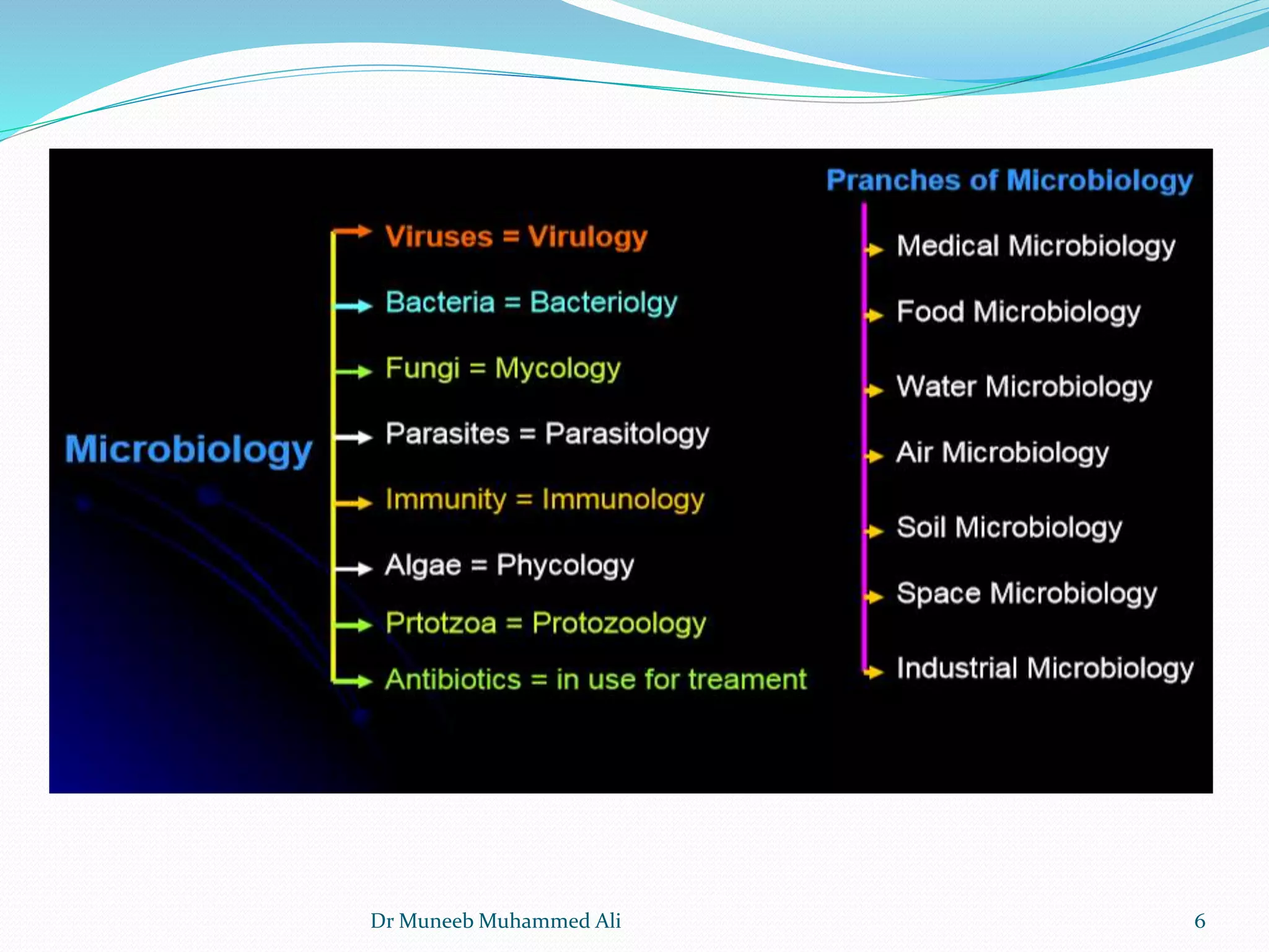 Introduction to Microbiology | PPTX