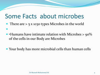 Introduction to Microbiology | PPTX