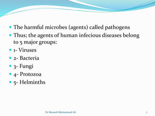 Introduction to Microbiology | PPTX