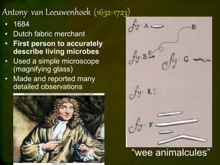 Introduction to microbiology | PPT