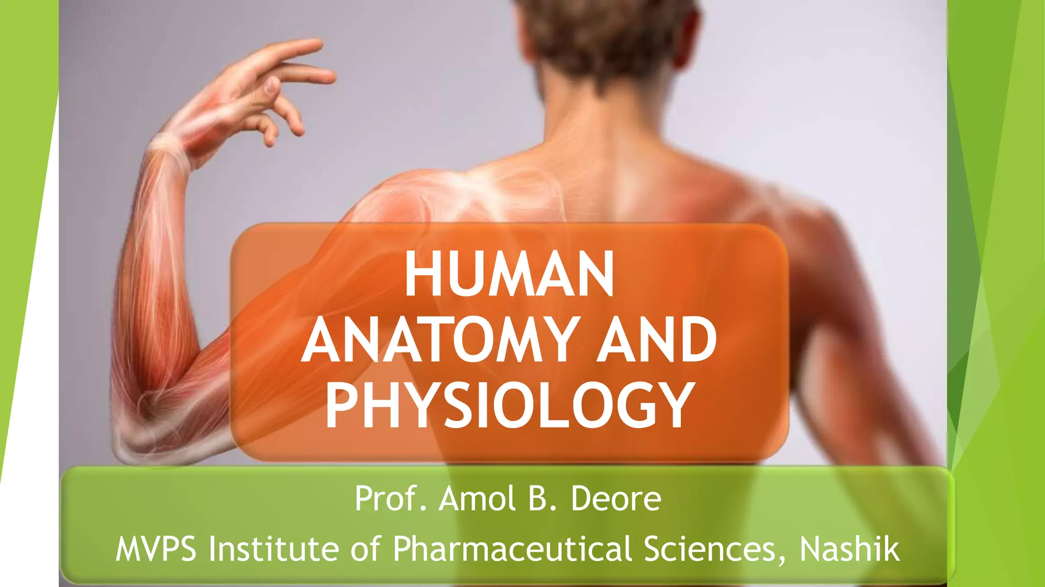 Introduction to Human Anatomy and Physiology | PPTX