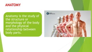 Introduction to Human Anatomy and Physiology | PPTX