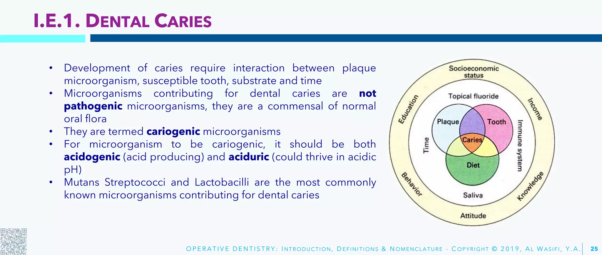 Introduction to Operative Dentistry - 2019 | PDF