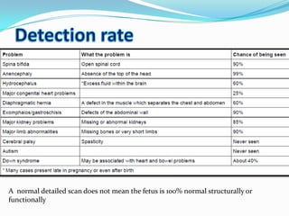 Introduction to detailed scan | PPTX
