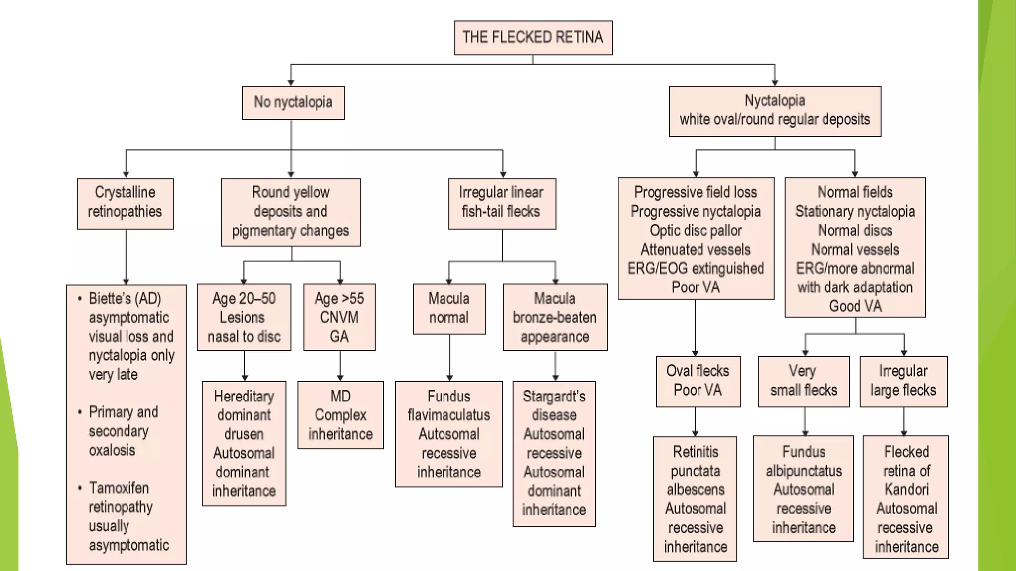 Introduction to Low Vision | PPTX