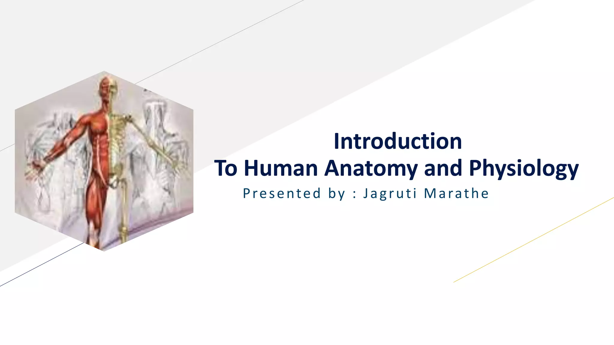 Introduction to human anatomy and Physiology | PPTX