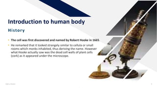 Introduction to human anatomy and Physiology | PPT