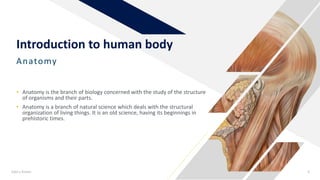 Introduction to human anatomy and Physiology | PPTX