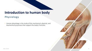 Introduction to human anatomy and Physiology | PPT