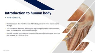 Introduction to human anatomy and Physiology | PPT