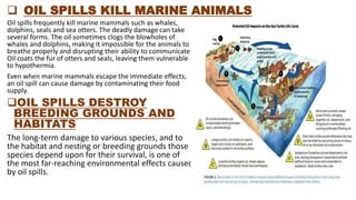 Oil spills.pptx