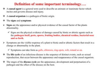 introduction.pptx | Diseases and Conditions | Medical Health