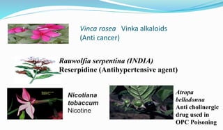 Introduction to Pharmacology, Source, Nomenclature& use of Herbal Drugs ...