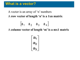 Introduction.ppt