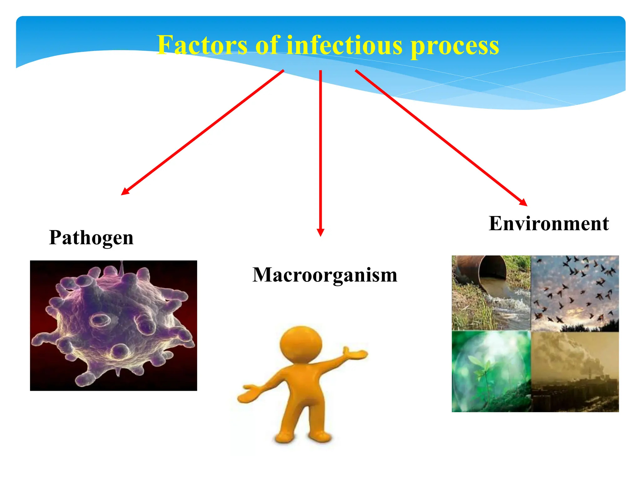 introduction of infectious disease microbiology | PPT