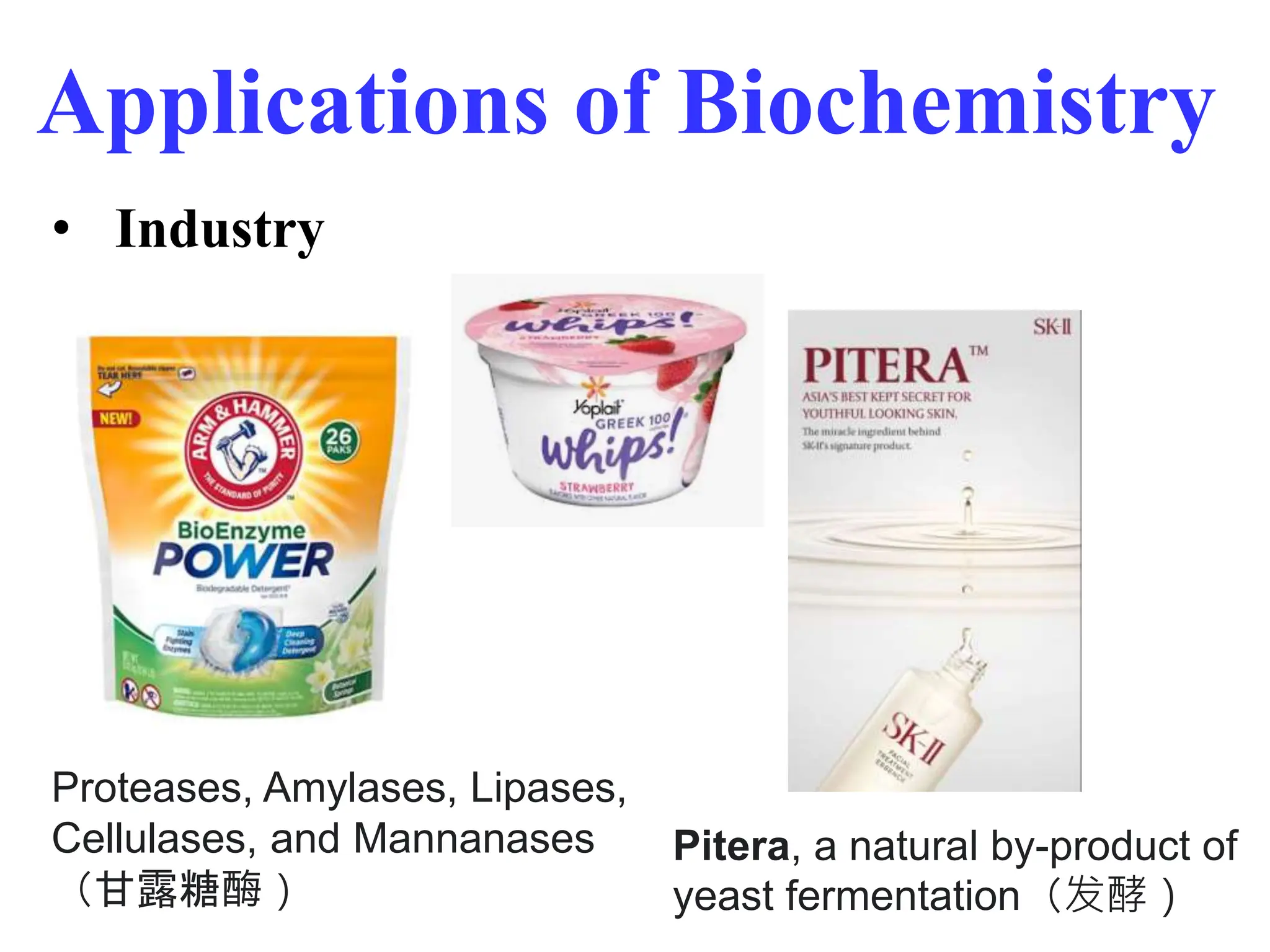 Brief Introduction to Biochemistry .pptx