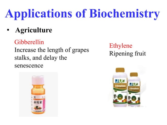 Brief Introduction to Biochemistry .pptx