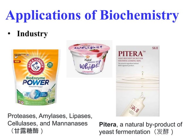 Brief Introduction to Biochemistry .pptx