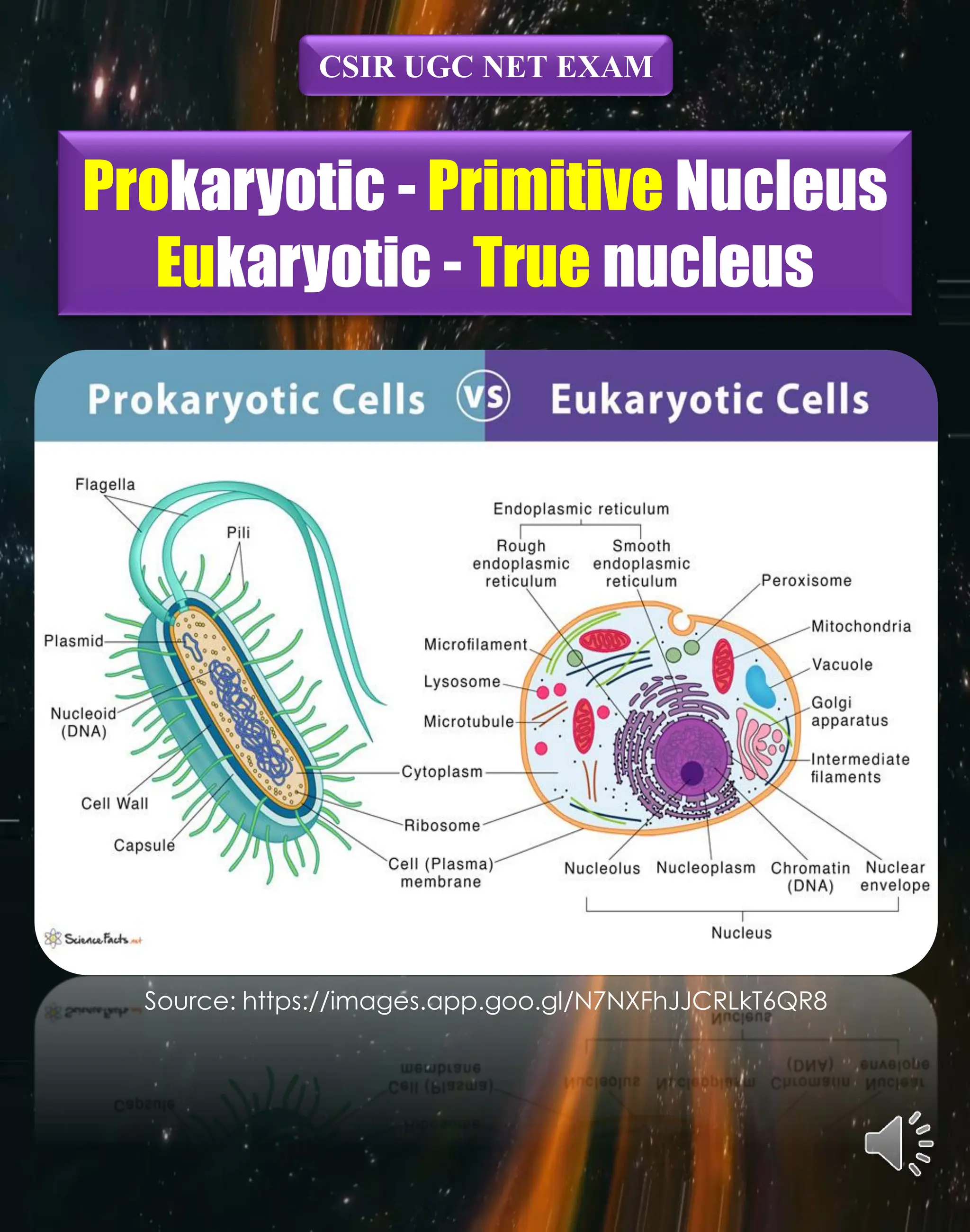 Prokaryotic Vs Eukaryotic / Unicellular Vs Multicellular Organism ...