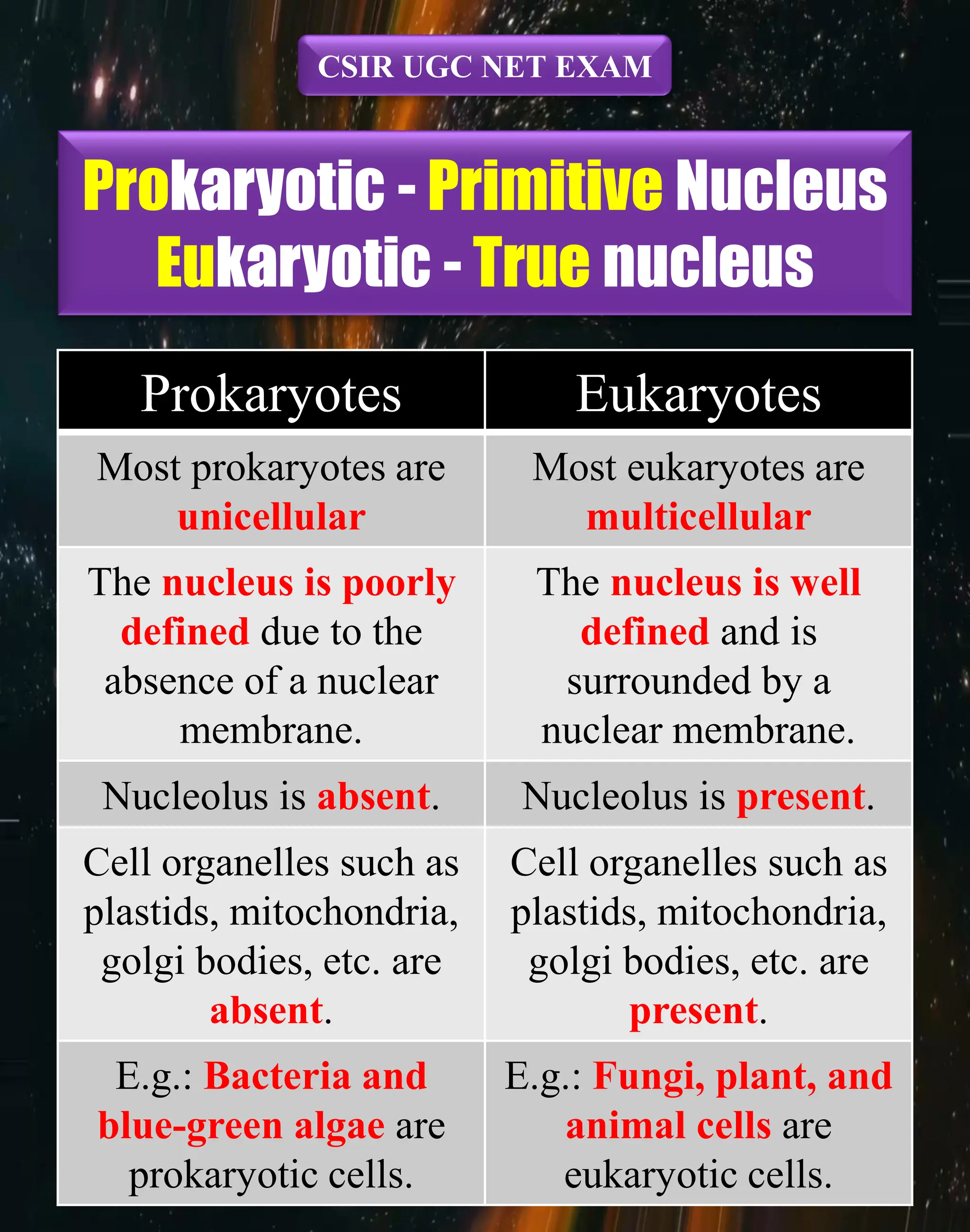 Prokaryotic Vs Eukaryotic / Unicellular Vs Multicellular Organism ...