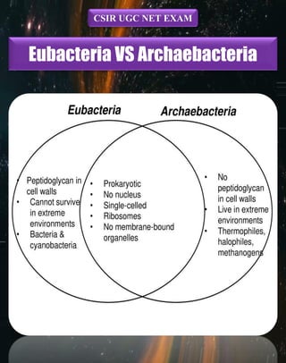 Prokaryotic Vs Eukaryotic / Unicellular Vs Multicellular Organism ...