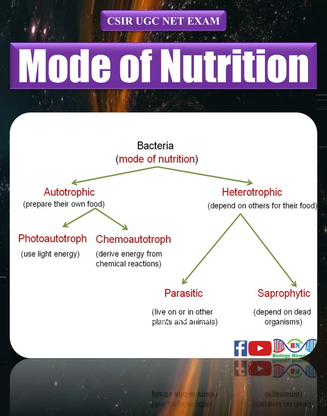 Prokaryotic Vs Eukaryotic / Unicellular Vs Multicellular Organism ...
