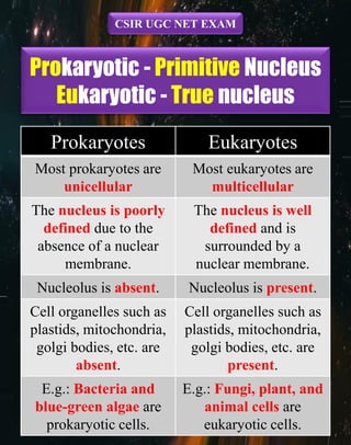 Prokaryotic Vs Eukaryotic / Unicellular Vs Multicellular Organism ...