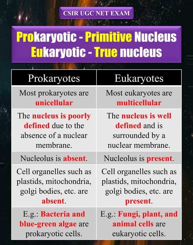 Prokaryotic Vs Eukaryotic / Unicellular Vs Multicellular Organism ...