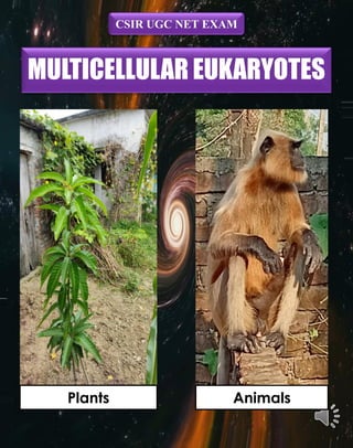 Prokaryotic Vs Eukaryotic / Unicellular Vs Multicellular Organism ...