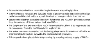 Introduction_Food Fermentation Tech.pptx