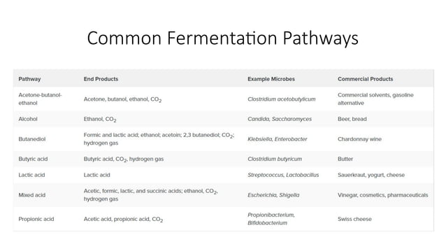 Introduction_Food Fermentation Tech.pptx