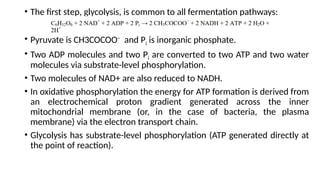 Introduction_Food Fermentation Tech.pptx