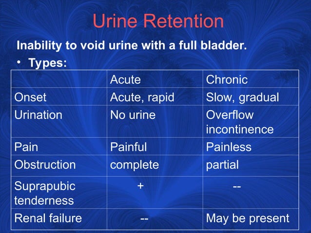 Introduction of genitourinary system.ppt | Medical Health