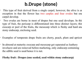Temperate fruits detail introduction.pptx