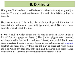 Temperate fruits detail introduction.pptx