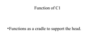 INTRODUCTION. introduction to anatomy and physiology | PPT