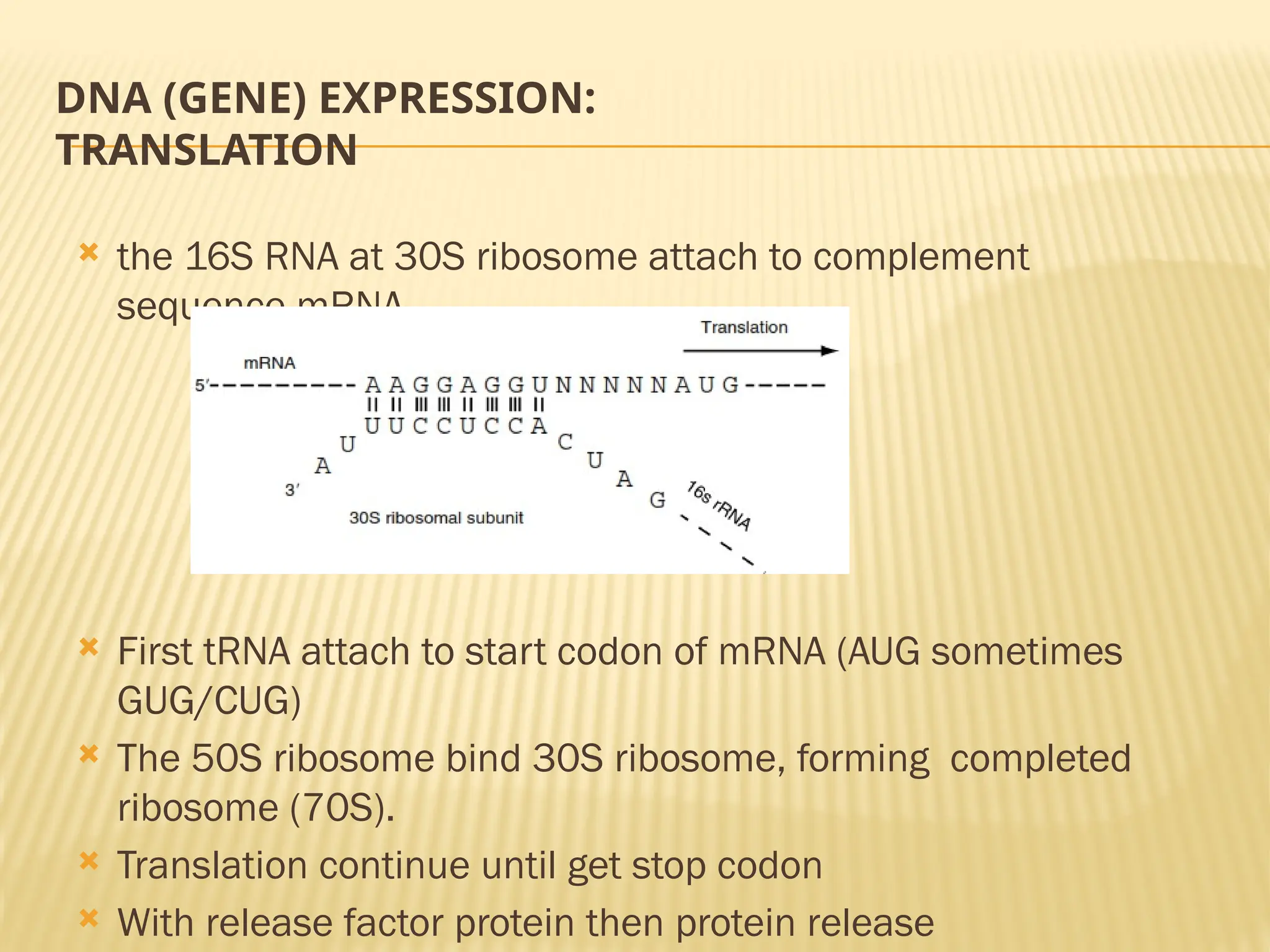INTRODUCTION about microbial genetics.pptx