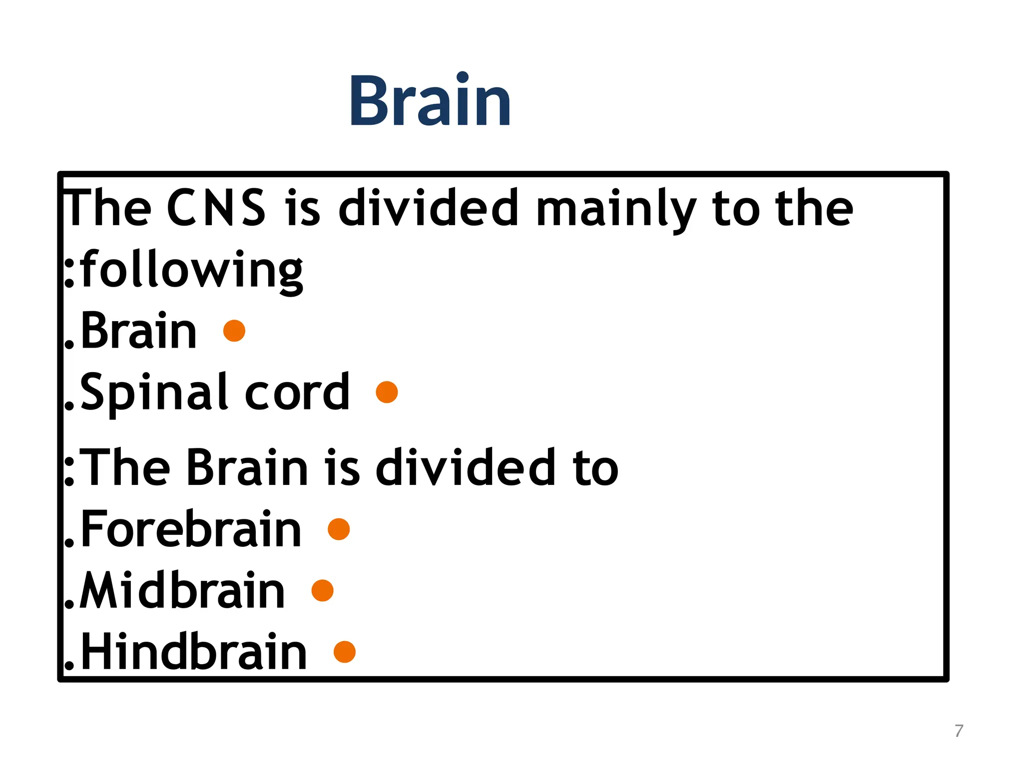 introduction to CNS Anatomy by Dr. tawfeeg.pptx