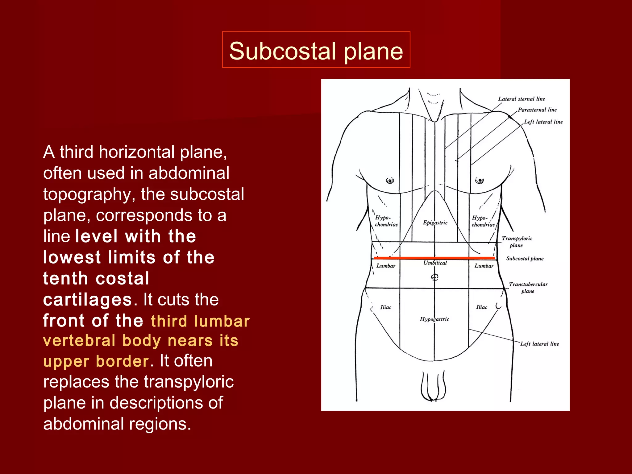 Introduction Abdomen Dr Gosai Ppt