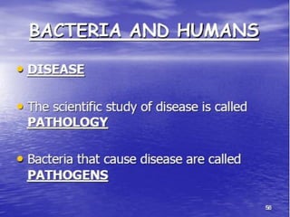 Introduction-and-History-of-Bacteriology-converted.pdf