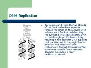 Introduction-basic-human-genetics-Hamamy-2011.pdf