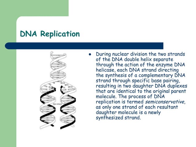 Introduction-basic-human-genetics-Hamamy-2011.pdf