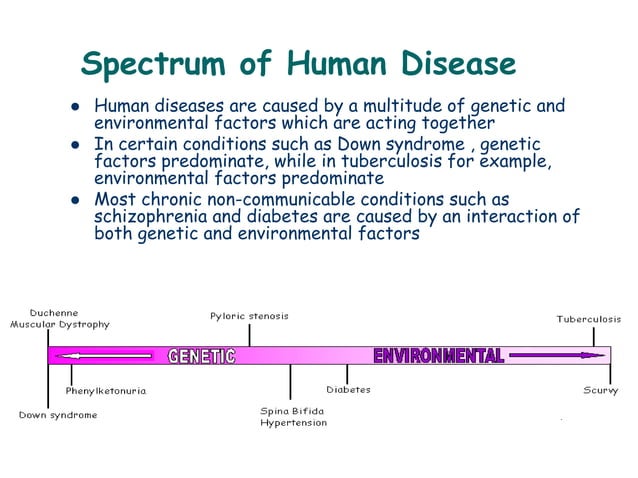 Introduction-basic-human-genetics-Hamamy-2011.pdf