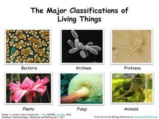 Introduction-Biology-Lecture-PowerPoint-VBC.pptx