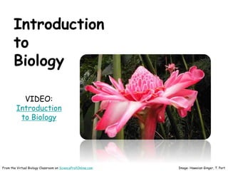 Introduction-Biology-Lecture-PowerPoint-VBC.pptx