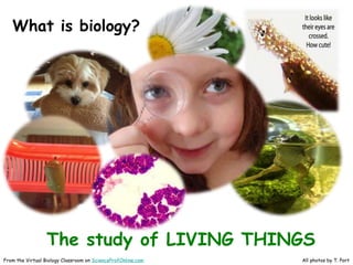 Introduction-Biology-Lecture-PowerPoint-VBC.pptx