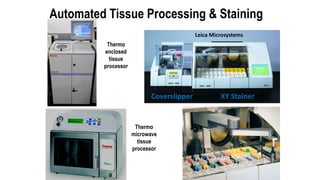 Introduction - Cellular Pathology 22-23(1).pptx