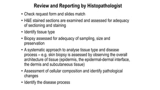 Introduction - Cellular Pathology 22-23(1).pptx